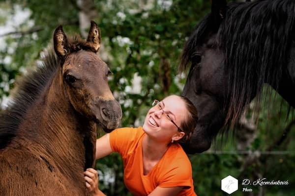 Veterinární služby Equicare